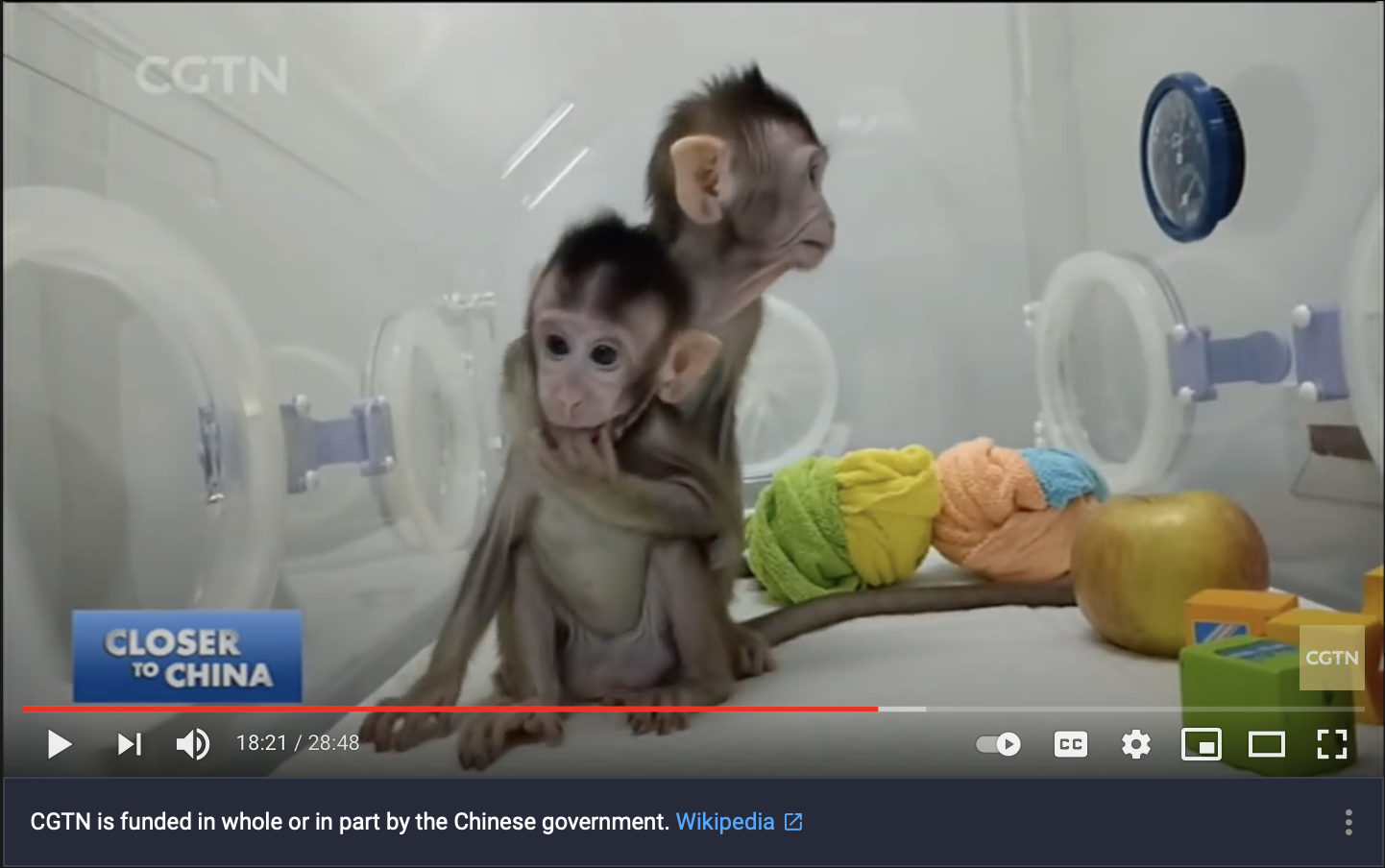 China's Brain-Computer Interface Landscape in 2021: Has the Dragon ...